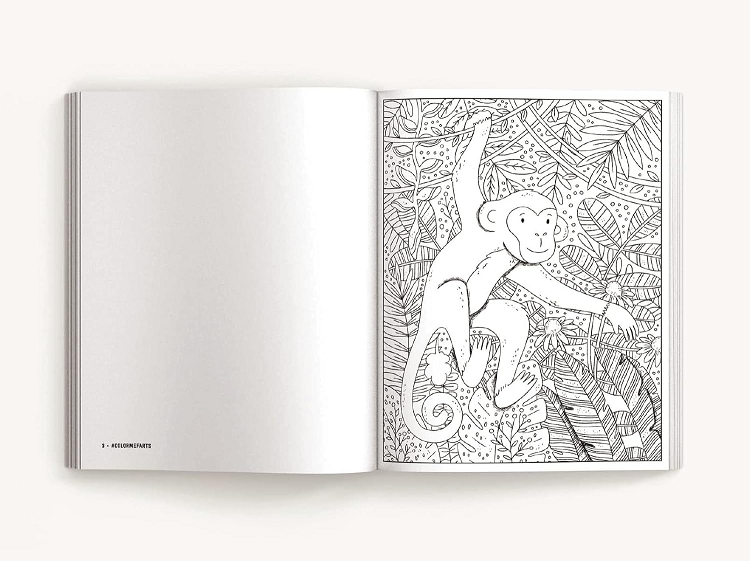 Color Me Farts: A Hilarious Adult Coloring Book | Available at Leon & Lulu