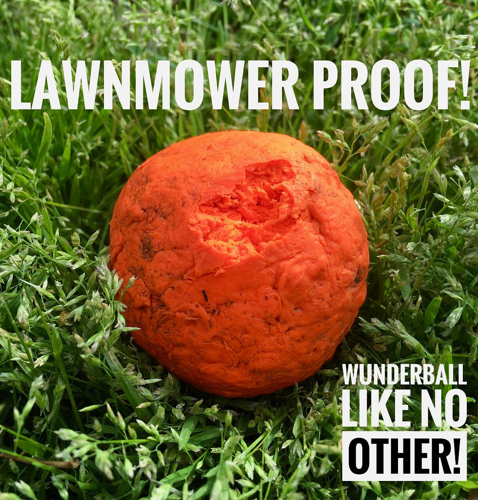 Wunderball Best Fetch Toy | Available at Leon & Lulu